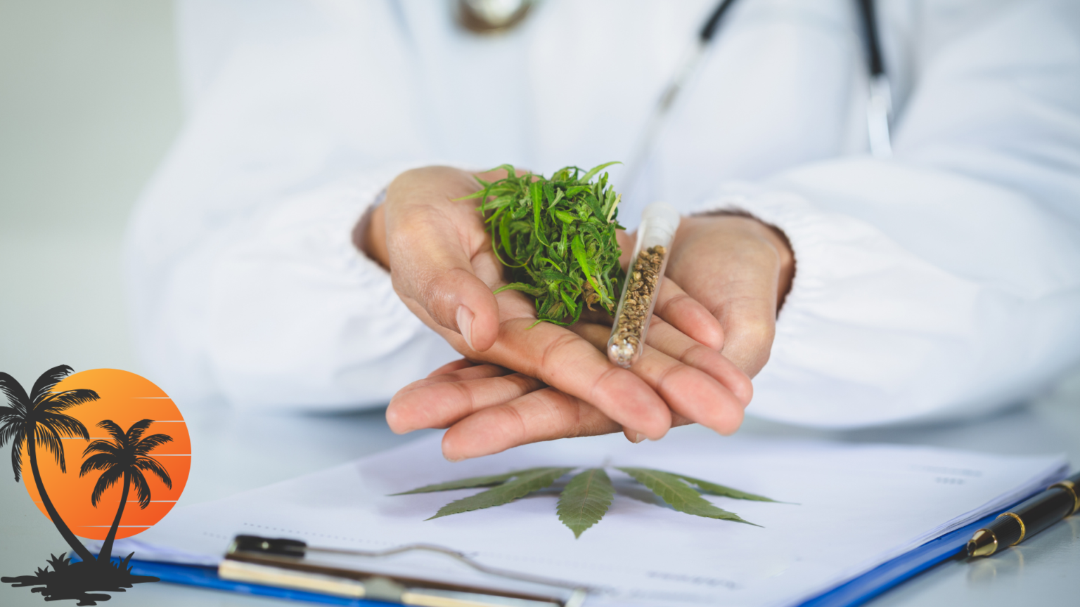 Exploring the Role of Doctors Prescribing Medical Marijuana in Florida ...