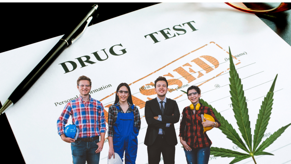 Impact of Medical Marijuana Cards on Employment and Drug Testing ...