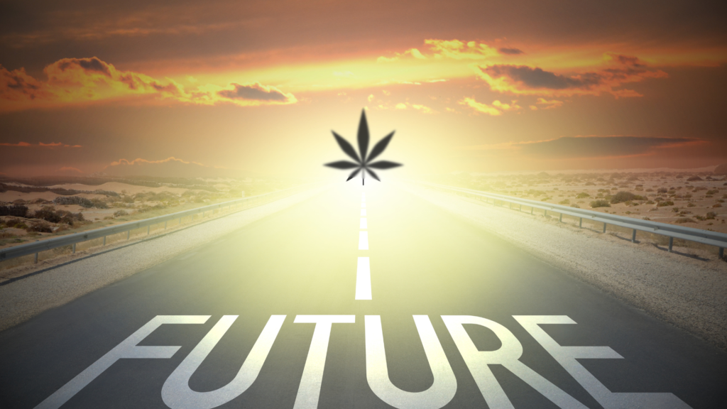 The Future of Medical Marijuana Legislation and Cards | Medical ...