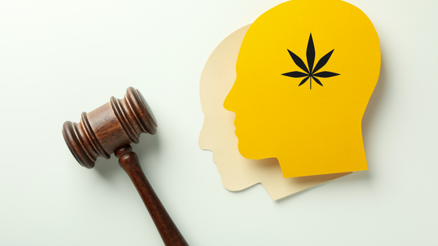 Understanding Your Rights as a Medical Marijuana Patient | Medical ...