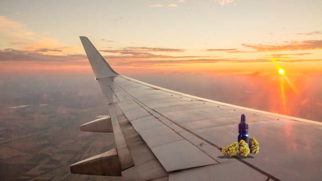 Flying With Medical Marijuana in Florida: 7 Things You Need to Know ...
